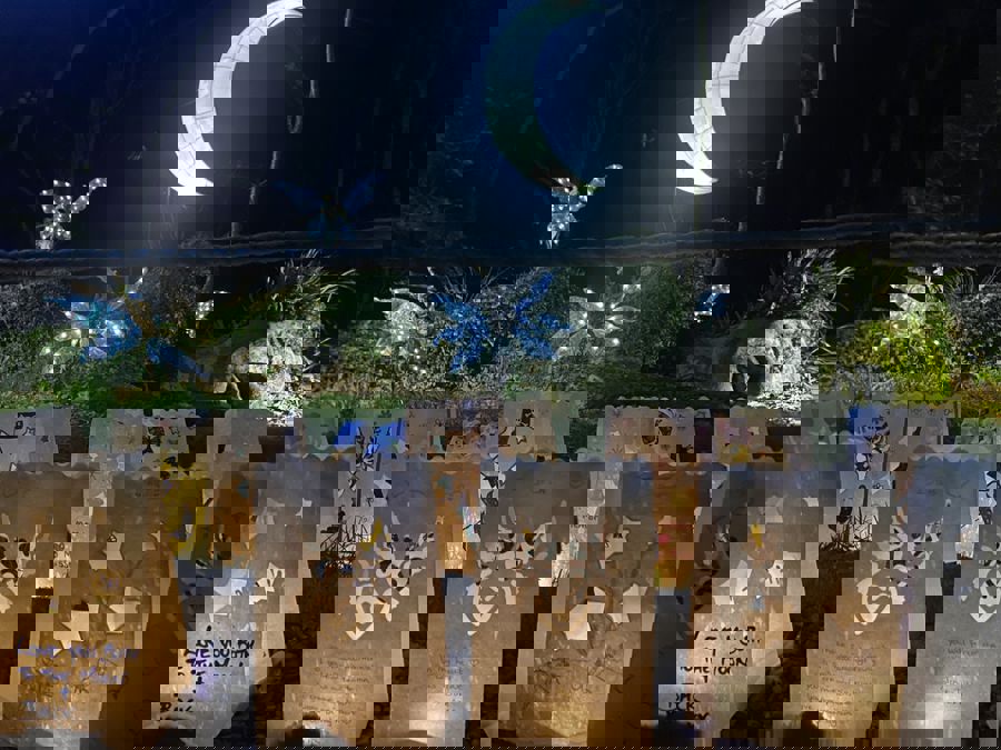 Moonlight Memory Walk Cornwall